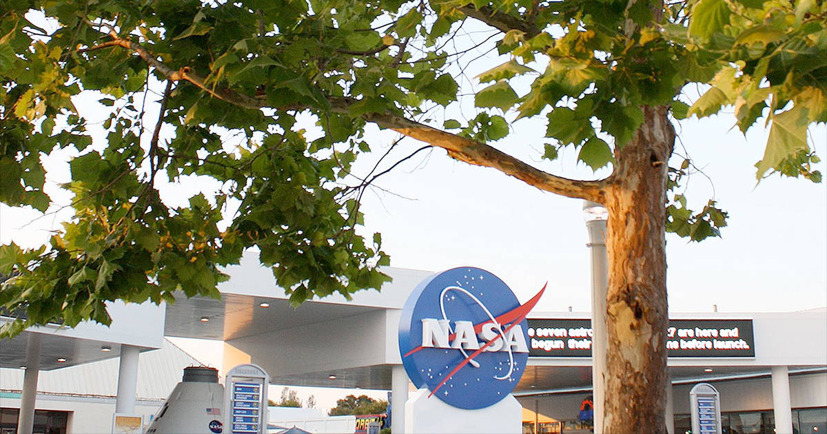 Moon mission's living monuments: Apollo 14's 'Moon Trees' 45 years ...