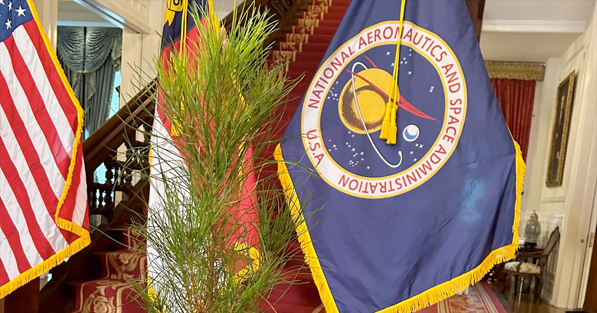 NASA begins delivering first Artemis Moon Trees to be planted across ...