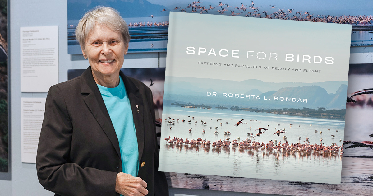 Astronaut Bird Beautiful Bird Portraits From Space Coast 10,000