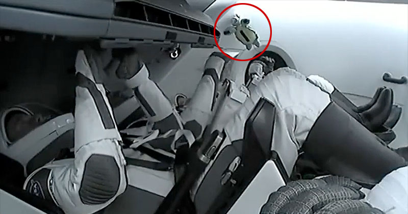 Outside of Earth's 'shell,' SpaceX's Crew-3 reveal turtle as zero-g ...