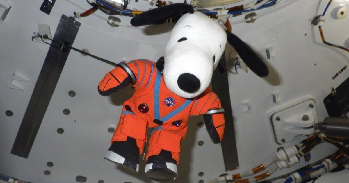 Spacesuited Snoopy doll floats in zero-g on moon-bound NASA mission ...