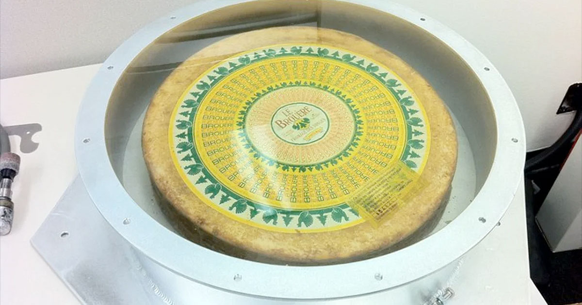 Say cheese! SpaceX all smiles over historic spacecraft recovery ...