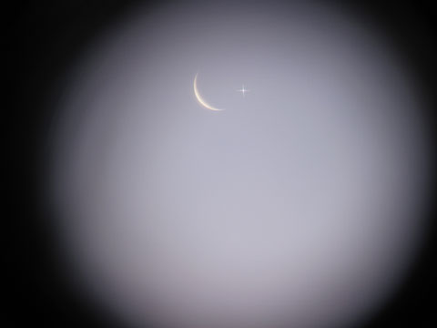 Venus-rise: Rare occultation sighting - collectSPACE: Messages