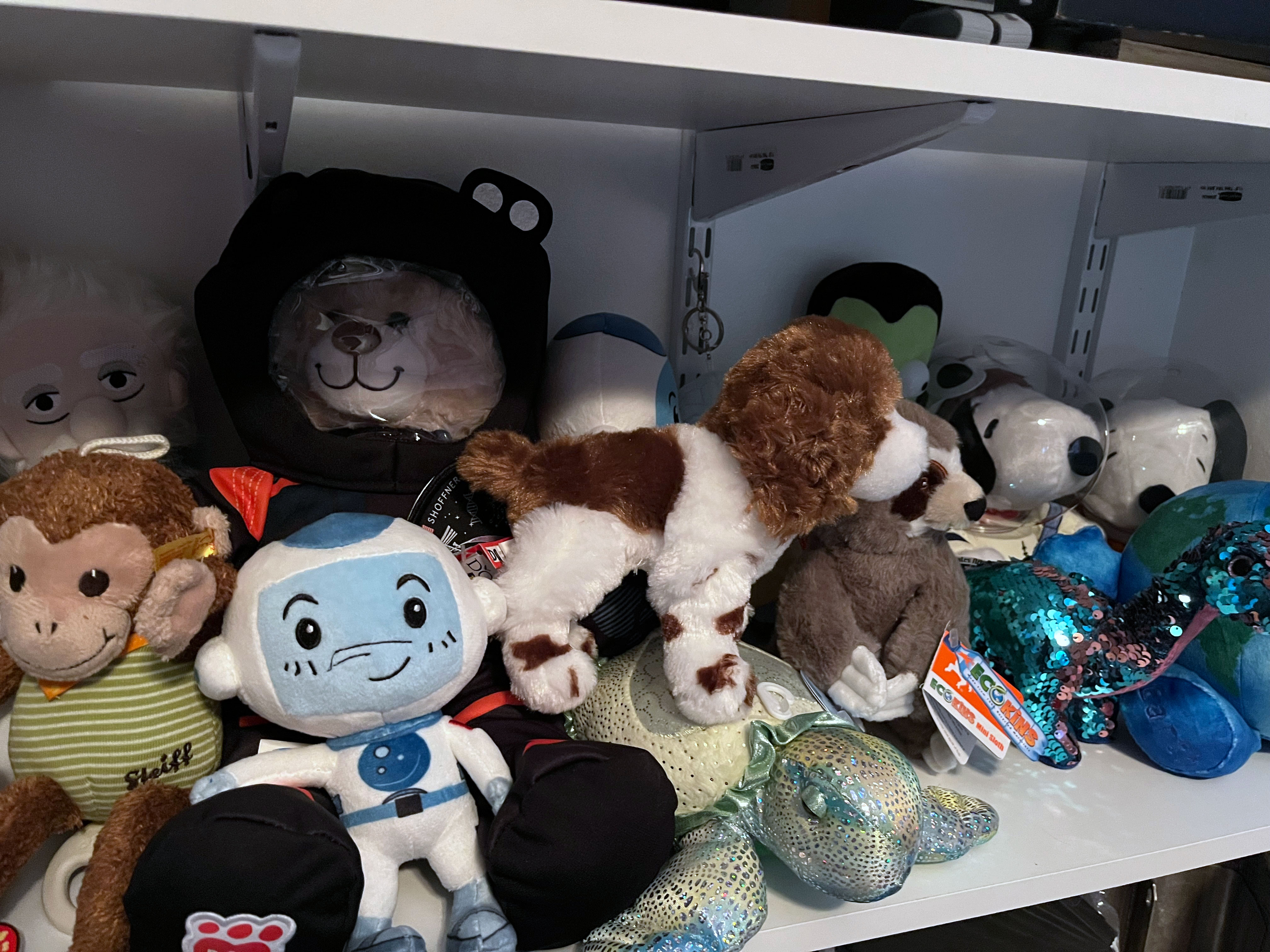 SpaceX Crew-8 zero-g indicator: Family dog - collectSPACE: Messages