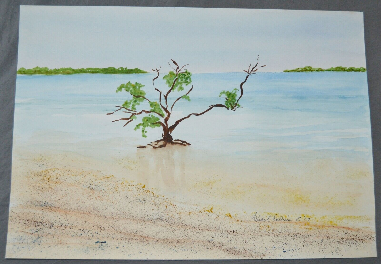 FS: Michael Collins watercolor painting - collectSPACE: Messages