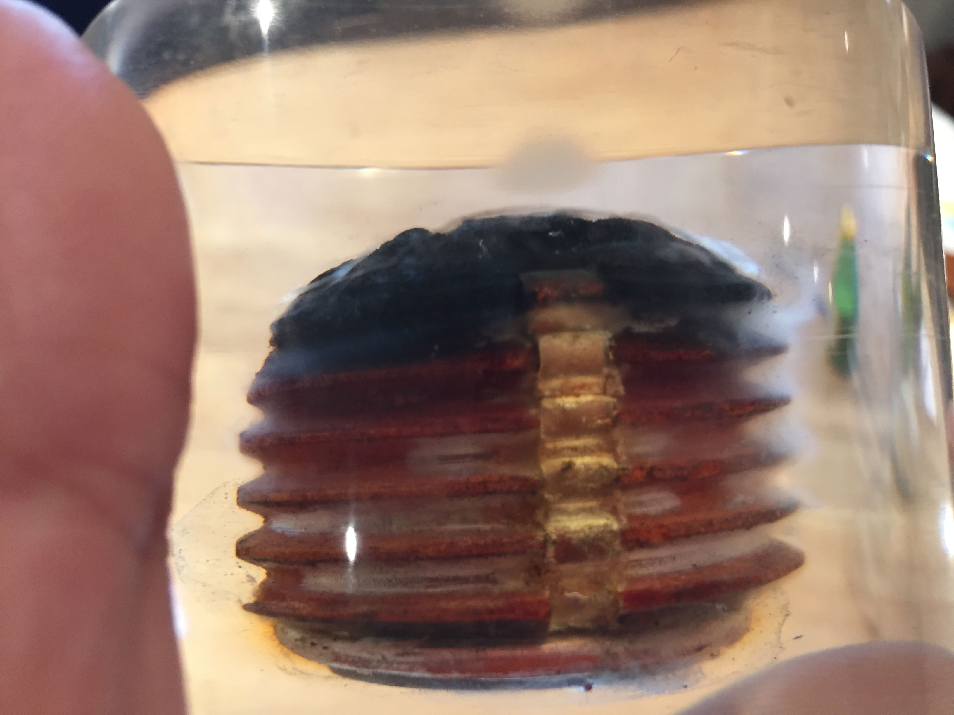 Apollo 11 Heat Shield