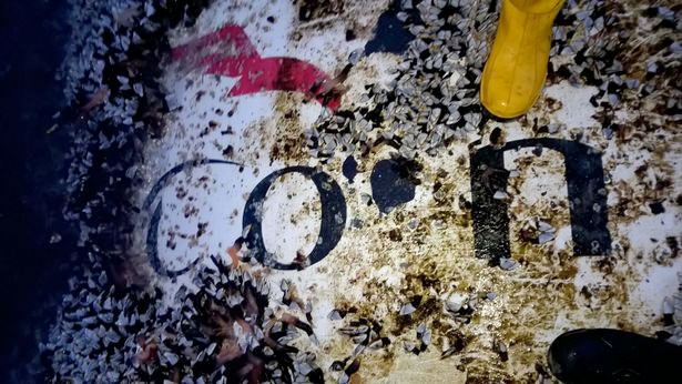 SpaceX Falcon 9 debris washed ashore in UK - collectSPACE: Messages